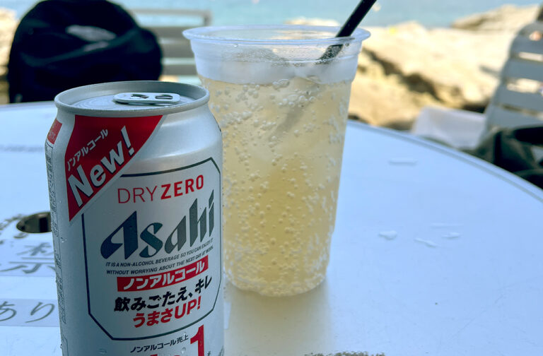 竹野浜でのんびりするなら「奥城崎シーサイドホテル ビーチカフェtodo bien coffee」がめっちゃ気持ちいい！ | モグログ